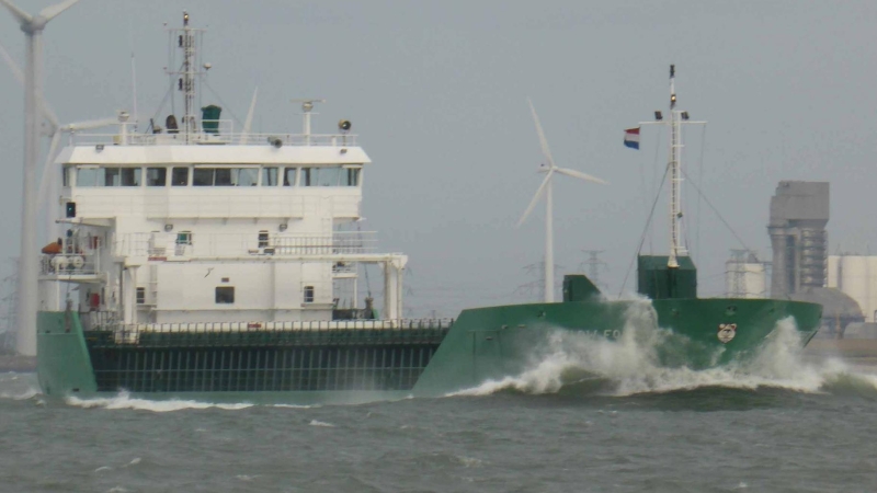 Arklow Forest | Arklow Shipping